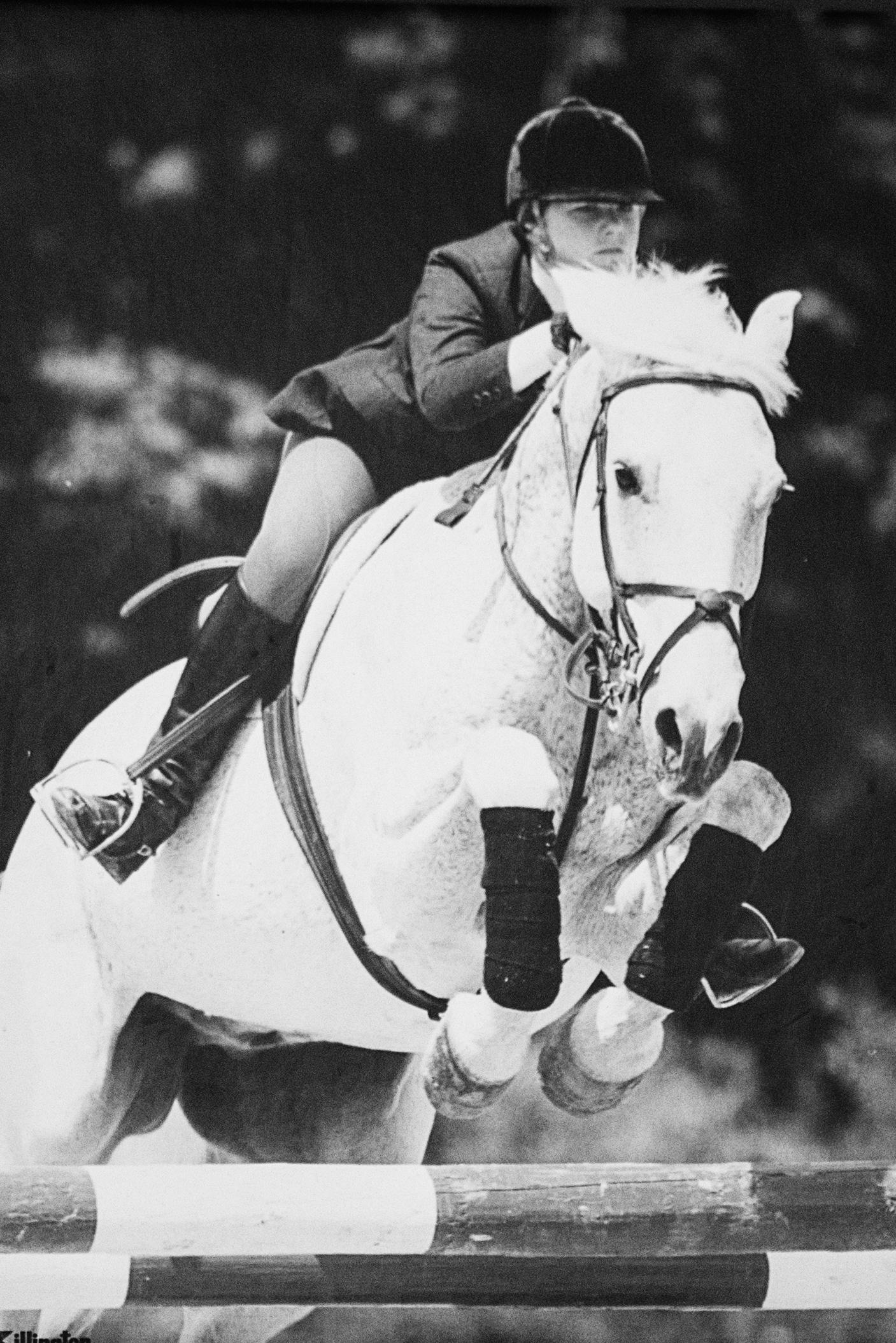 The Owner | winstar farm