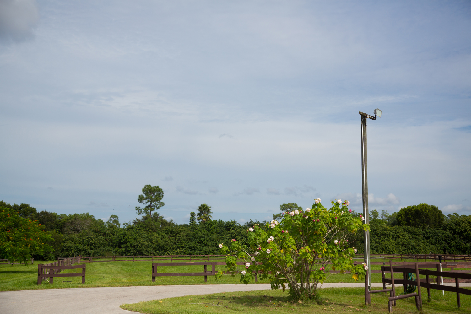 Winstar Farm | winstar farm