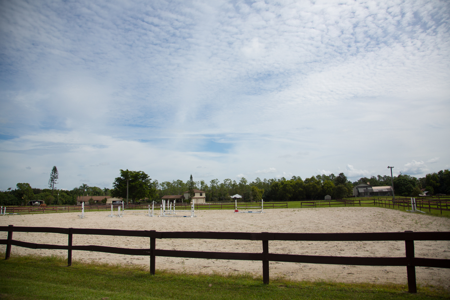 Winstar Farm | winstar farm