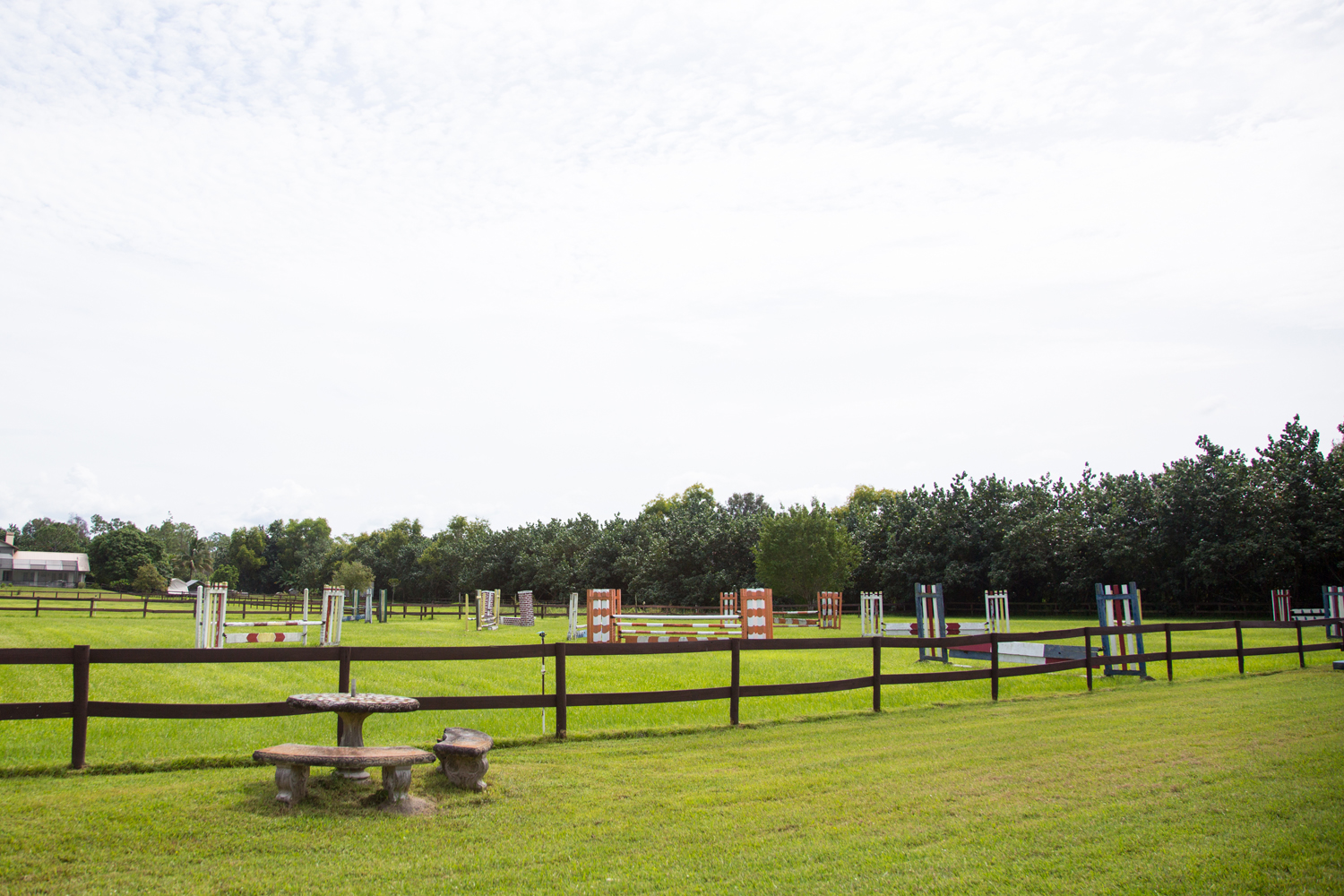 Winstar Farm | winstar farm