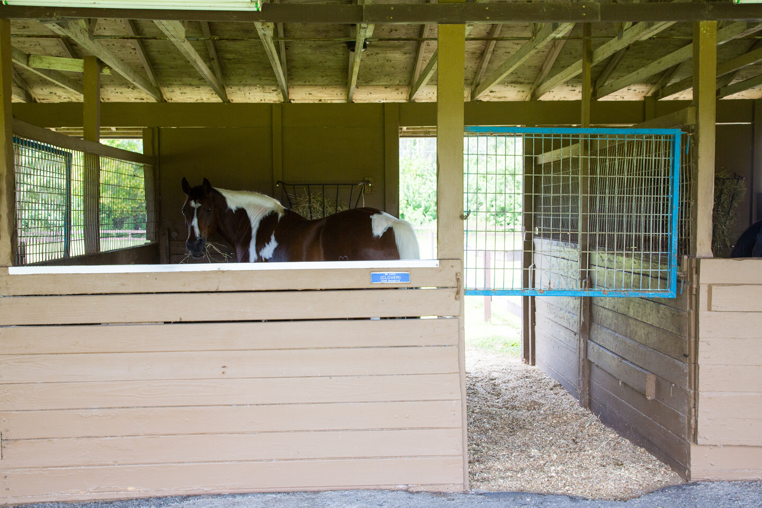 Winstar Farm | winstar farm