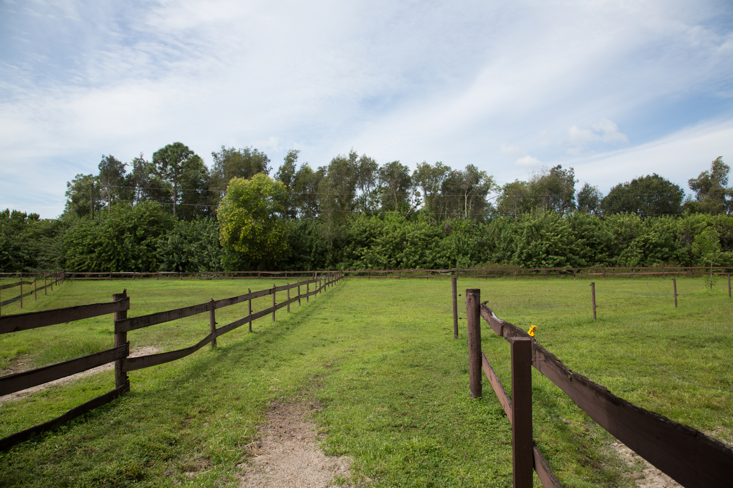 Winstar Farm | winstar farm